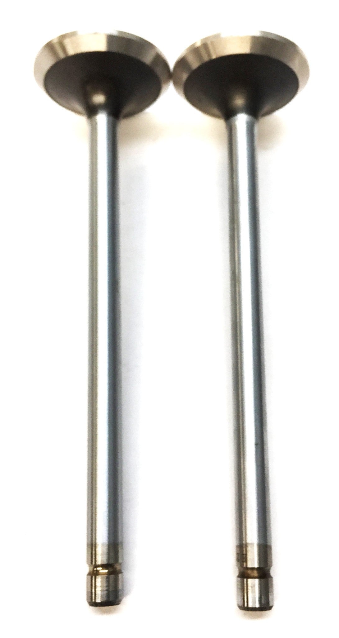 Enginetech Engine Intake Valve Set (2pcs) V4336 NOS ...